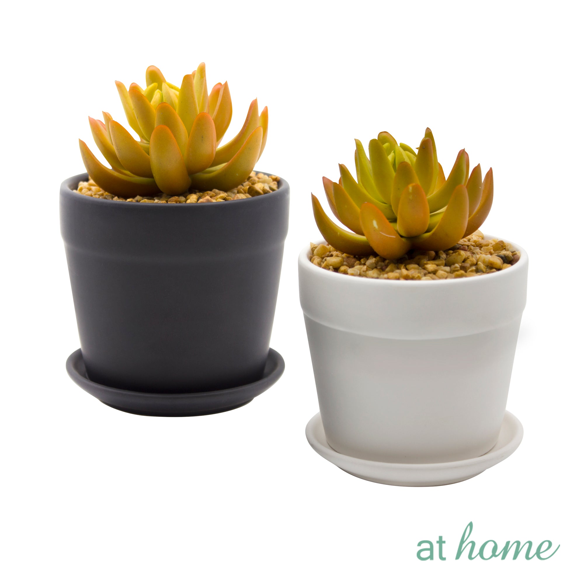 Dilly Artificial Succulent Plant w/ Ceramic Pot