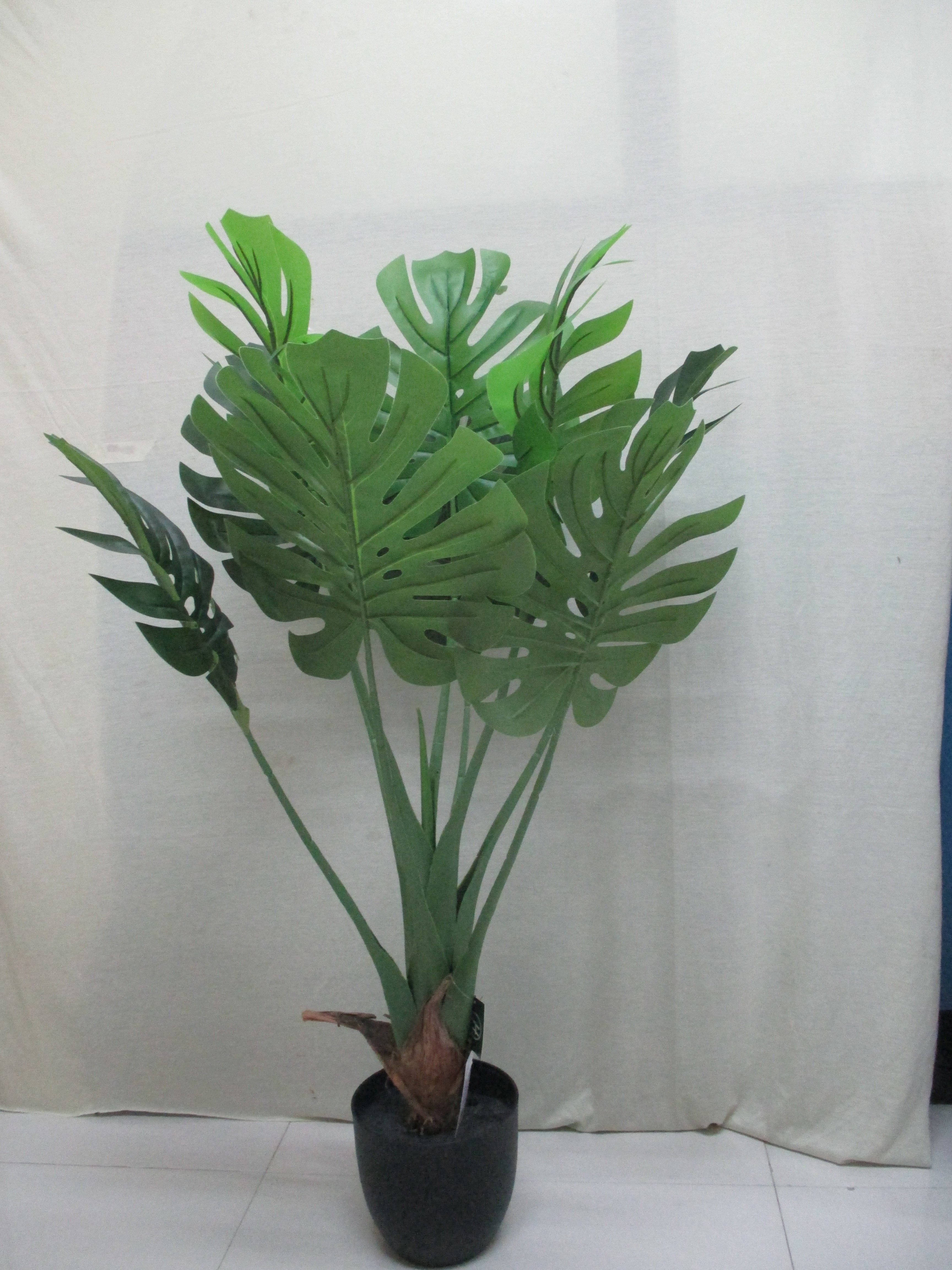 Hamish Decorative Plants